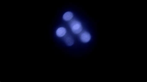 Strong Green Screen Vignette Overlay Loop