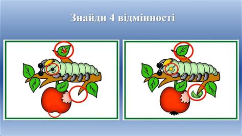 Дидактична гра Знайди 4 відмінності для дітей середнього дошкільного віку Youtube