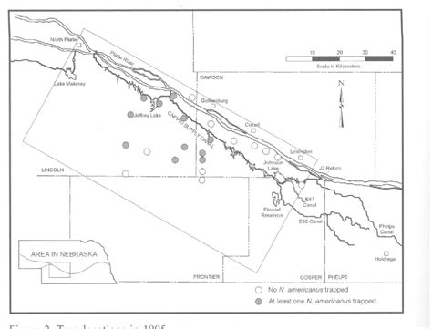 Gosper Curve Semantic Scholar