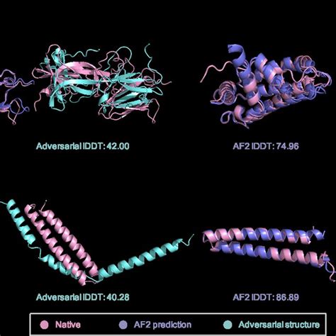Comparisons Between The Native Structures And The AF2 Predicted Ones