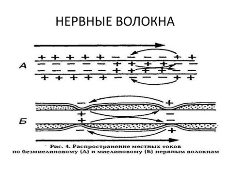 Цитология и гистология Схема плоскостей в теле человека Online Presentation