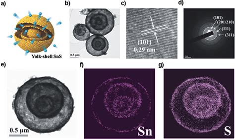 A Schematic Illustration And B Tem Image Of The Download