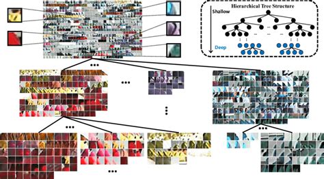Illustration Of Hierarchical Clustering Tree Structure And Examples Of Download Scientific