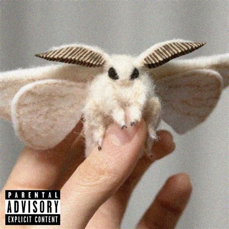 Hello Everyone Its Me Mothiva I Want To Let You All Know That My New Album Get Real