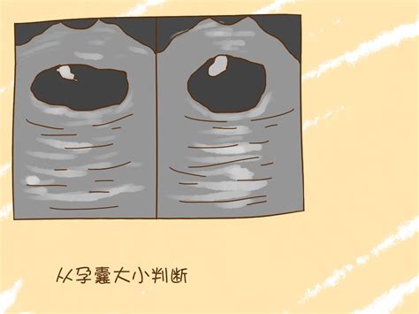 教你一分钟看懂b超单，生男生女早知道！