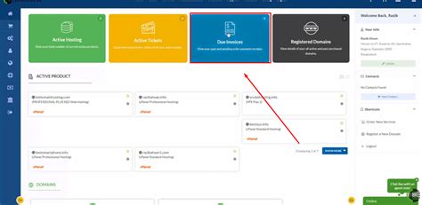How To Pay Domain And Hosting Bill Using BKash From Cyber Developer BD