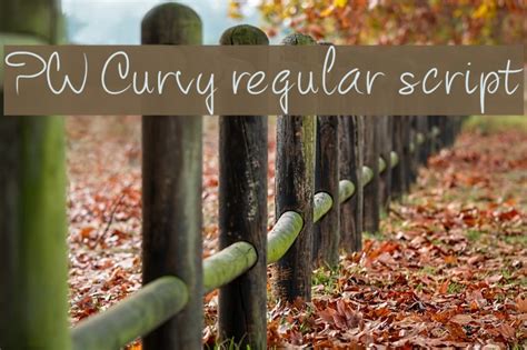 PW Curvy Regular Script Font FFonts Net