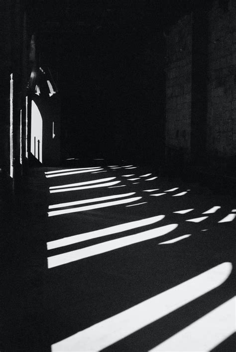 buddy mlir安装笔记 知乎