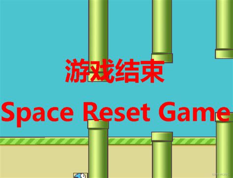 飞翔的小鸟 Csdn博客