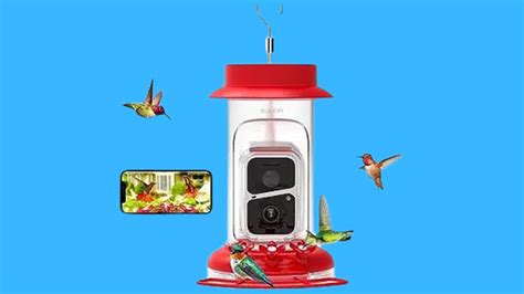Hummingbird Feeder You Wear At Lori Francois Blog