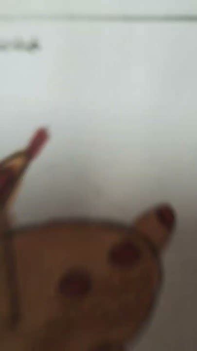 рисую петов из адопт ми рысь Youtube