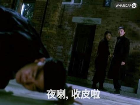 夜喇 收皮啦 Whatscap