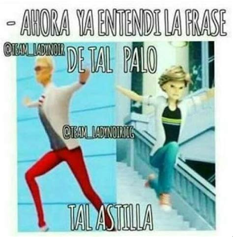 Pin De 𝙻𝚞𝚒𝚜𝚊 En Memes Memes De Miraculous Ladybug Imagenes De Risa