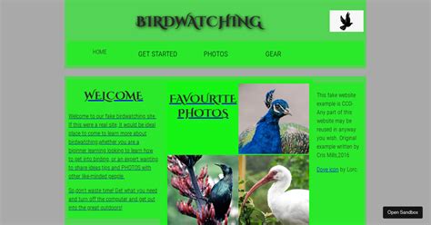 Empty Html Template Codesandbox