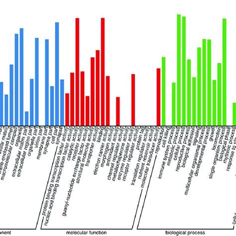 Functional Annotation Of Assembled Sequences Based On Gene Ontology