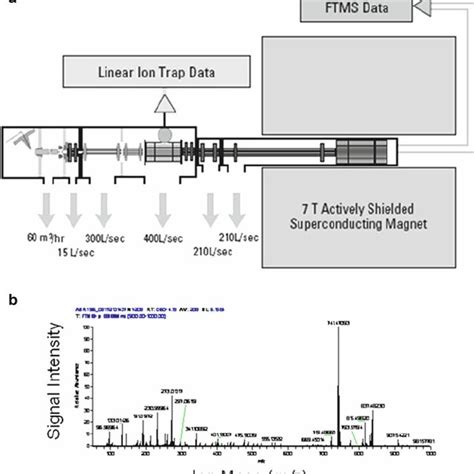 Ft Icr Ms Schematic And Example Ft Icr Ms Profi Le A Diagram Of Download Scientific