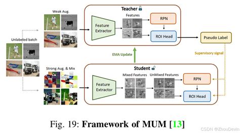 算法论文半监督1——2024最新半监督目标检测综述cnn和transformer全文15w字semi Supervised