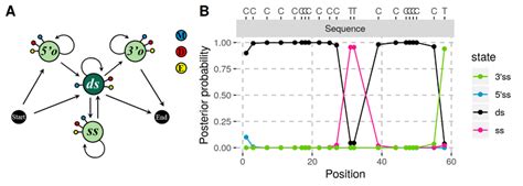 Graphical Representation Of The Model A And Illustration Of The