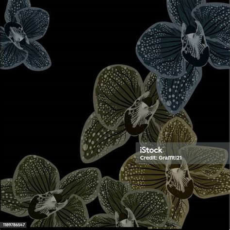 검은 색 배경에 추상 보라색 Orhids 그림입니다 인쇄 디자인을위한 현실적인 발초 벡터 디자인 그림입니다 검은 색 어두운 배경입니다 자연 을 배경으로 0명에 대한 스톡
