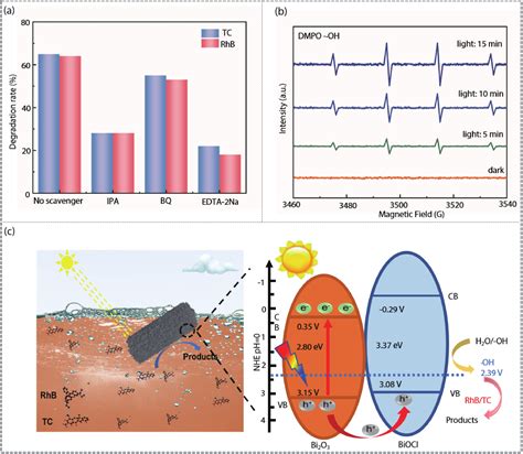 One Photo Excitation Pathway In 2d In Plane Heterostructures For