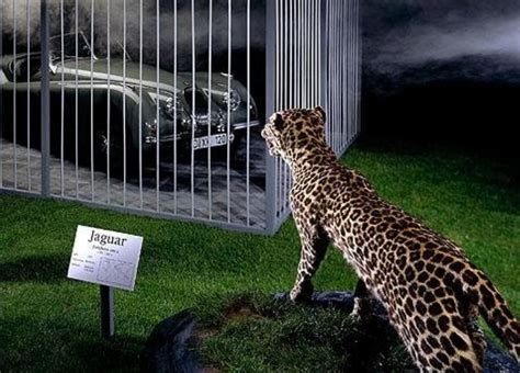 реклама рекламные фото приколы ягуар креатив смешные картинки и другие приколы