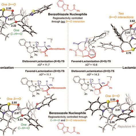 Computed Chemoselectivity Determining Cyclization Transition Structures Download Scientific