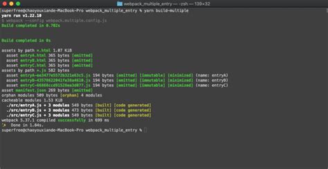 Webpack Practice Multi Entry Project Packaging Code Splitting