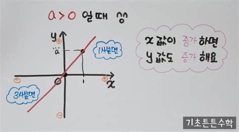 중1 정비례와 반비례 정비례 관계 그래프 네이버 블로그