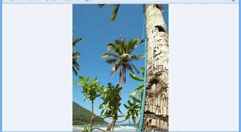 How To Get Windows Photo Viewer In Windows 10 Lab One