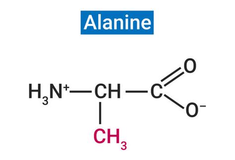 Magnesium Oxide Structure