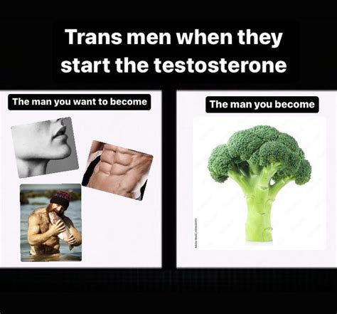 I Am Transgender Rthomastheplankengine