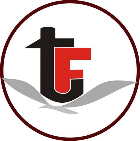 Techfly Logo