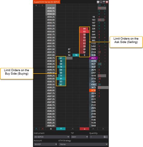 Master Order Flow Trading With NinjaTrader A Compressive Guide