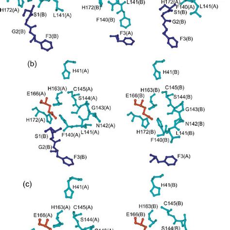 The S1 Binding Pocket And The Oxyanion Loop Residues 138 145 First Download Scientific