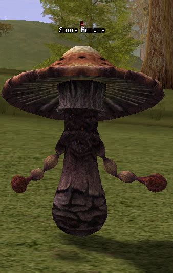 Spore Fungus Lvl 9 Npcs Lineage 2 C2 Database