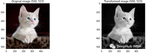 12个常用的图像数据增强技术总结 极市开发者社区