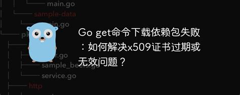 Goget下载依赖包失败？x509证书过期无效终极解决方案！ Golang学习网