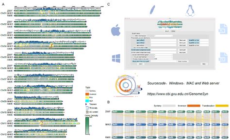 Github Jmsong2genomesyn We Developed Genomesyn As A New Tool For Constructing And