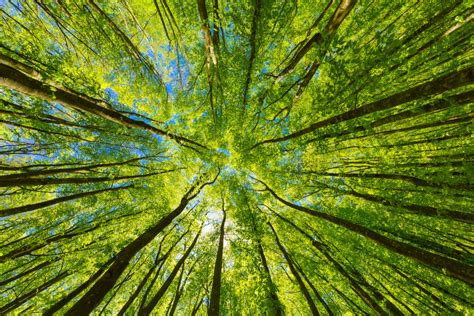 reliable self healing kubernetes explained kublr