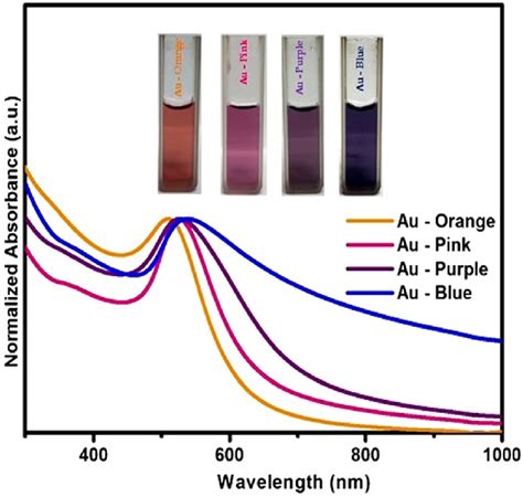 Uv Vis Absorption Spectra Of Synthesized Gold Nanoparticles Download Scientific Diagram