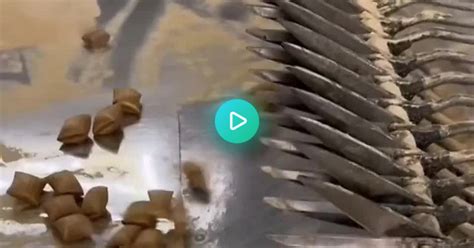 Candy Shears  On Imgur