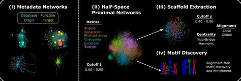 Workflow Overview Of The Experimental Procedure Figure Created With Download Scientific