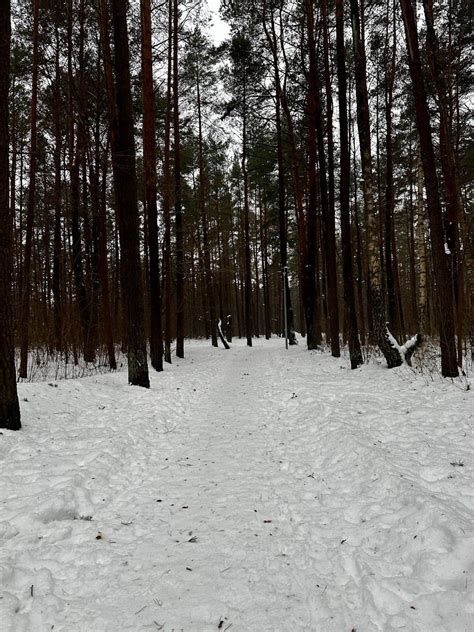 Work Life Balance Balancelife Vasilij Duško