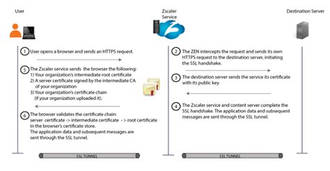 Download Zscaler Root Certificate