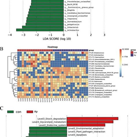 Comparison Of Microbiome Composition And Predictions Of The Functional Download Scientific