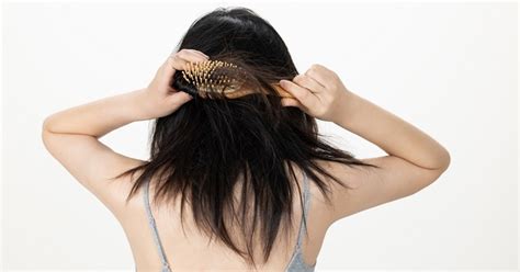 뭘 해도 푸석한 머리카락 샴푸 전 ‘이것만 해도 부드러워져