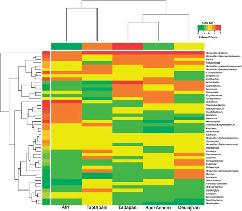 Heatmap Showing The Relative Abundance Of The Genus With 0 05 Download Scientific Diagram