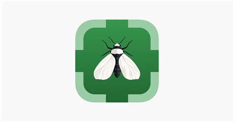 ‎bug finder and insect identifier en app store