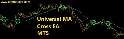 Universal Ma Cross Ea Mt5