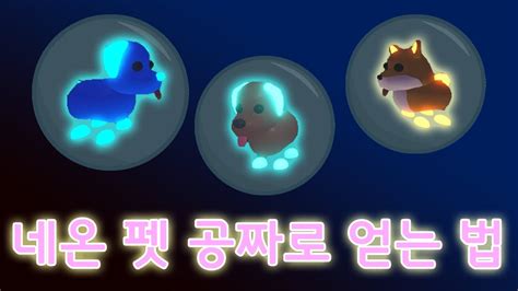 로블록스 입양하세요 네온 펫 무료로 얻는법 공개 777 확률 Youtube